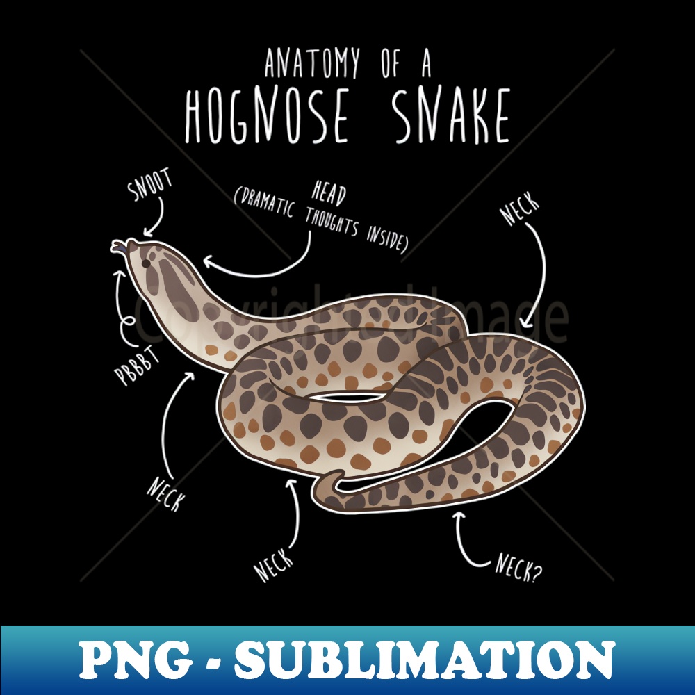 Hognose Snake Anatomy - PNG Transparent Sublimation Design - - Inspire ...