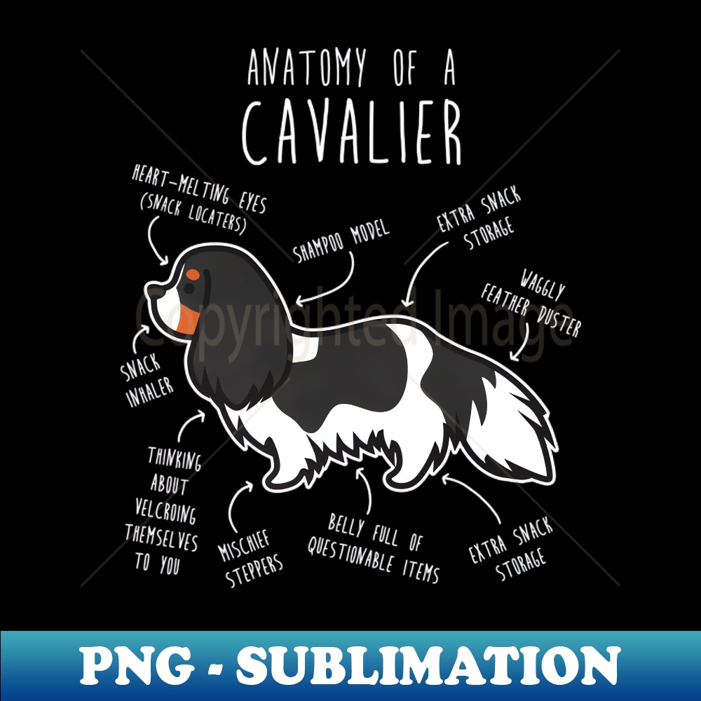 Tri-Color Cavalier King Charles Spaniel Dog Anatomy - Instan | Inspire ...