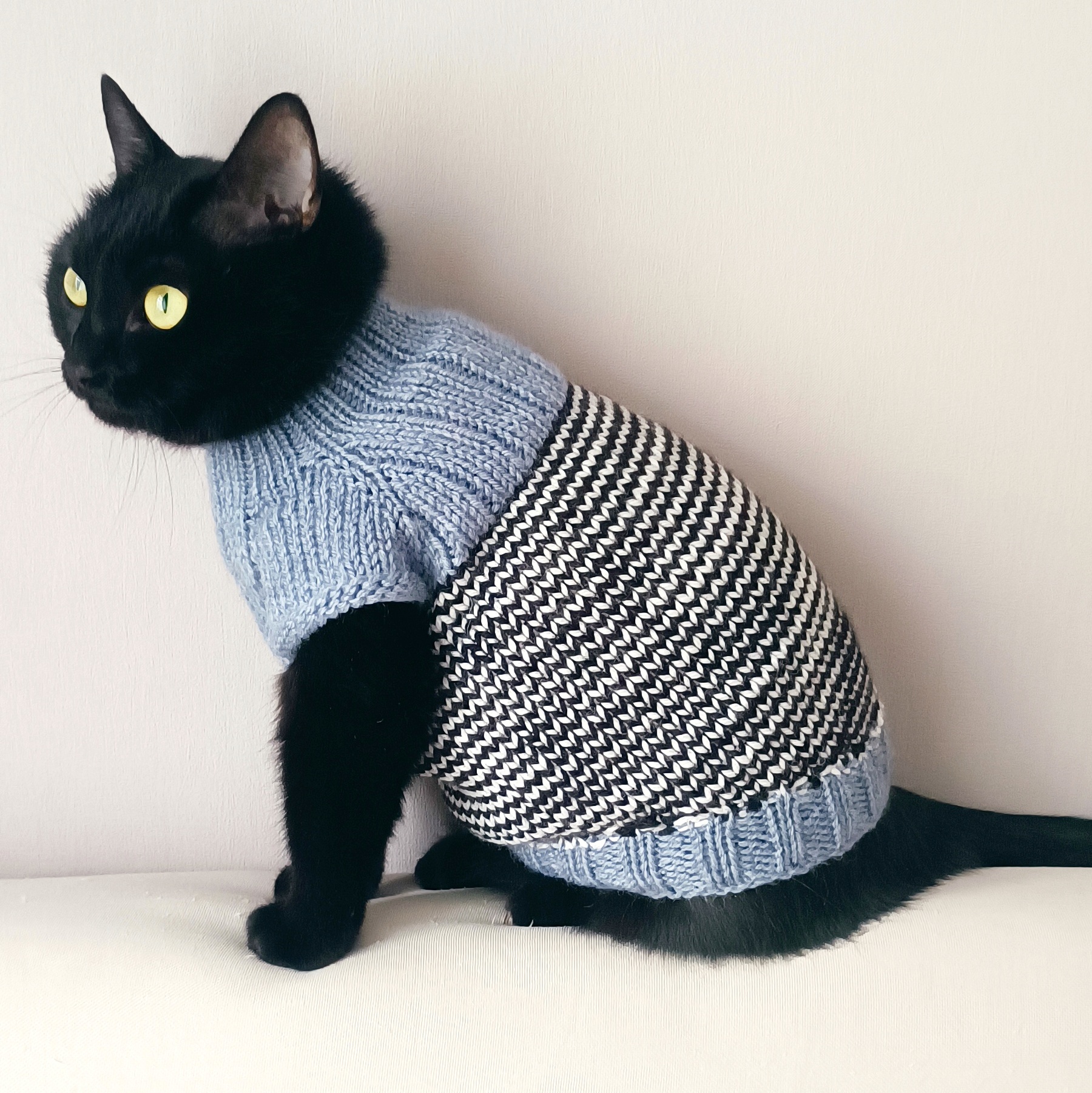 Sweater for cats Sphynx sweater Casual cat jumper Kitten swe | Inspire ...