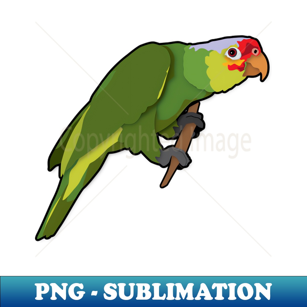Red Lored Amazon Parrot So Kawaii - Aesthetic Sublimation Di | Inspire ...