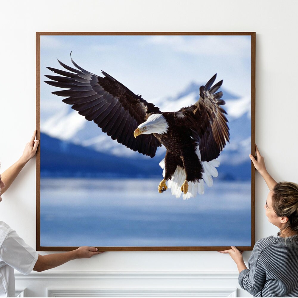 American Bald Eagle Poster - Art Poster Gift - Unframed.jpg | Inspire ...