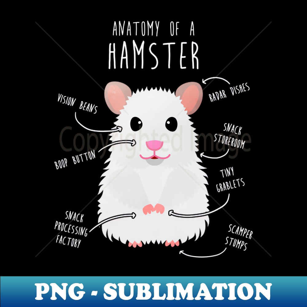 Teddy Bear Long-Haired Syrian Hamster Anatomy - PNG Transpar | Inspire ...
