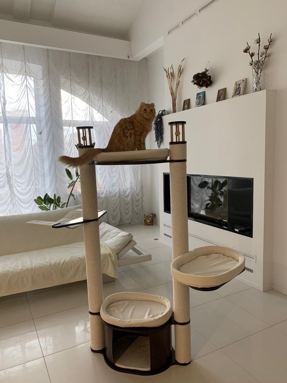 Claw house Good-3 (179cm) | Inspire Uplift