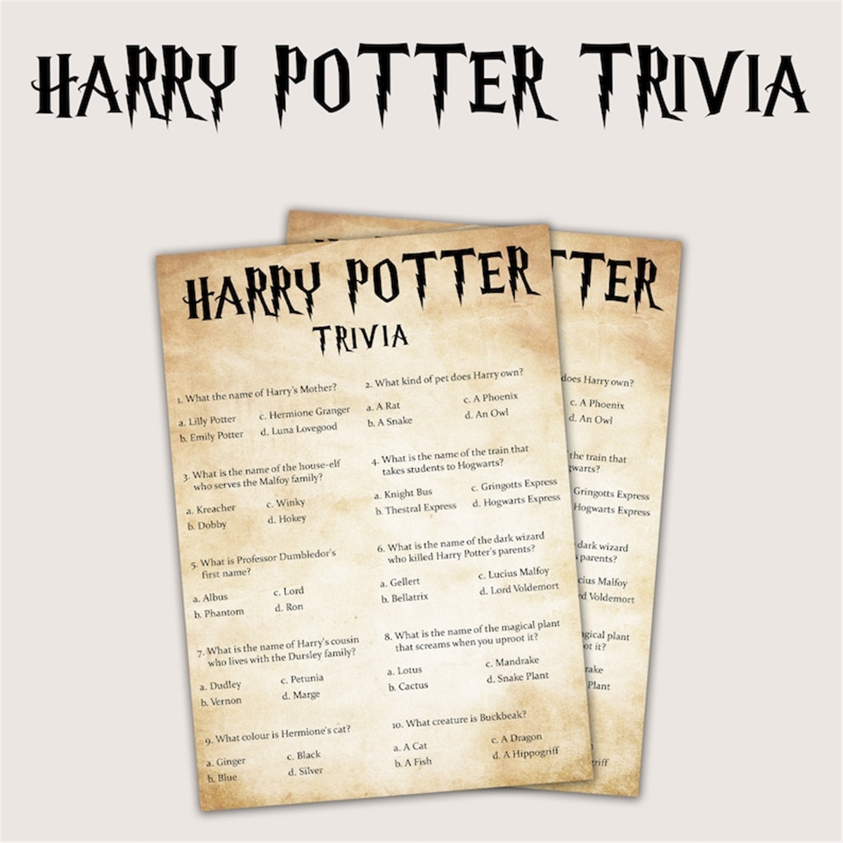 Potter Trivia Game Wizard Trivia Quiz Magical Birthday Party | Inspire ...