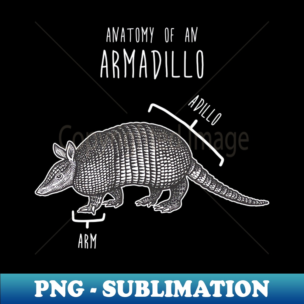 Armadillo Animal Anatomy - High-Quality PNG Sublimation Down | Inspire Uplift