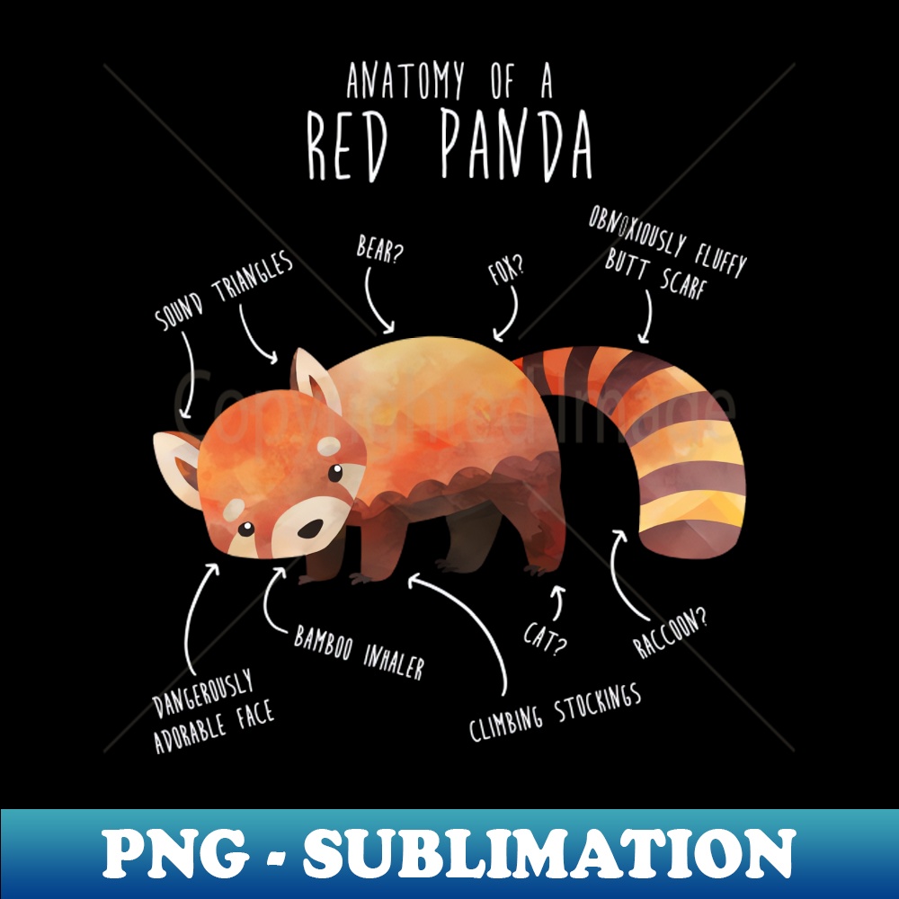 Red Panda Animal Anatomy - Unique Sublimation PNG Download - - Inspire ...