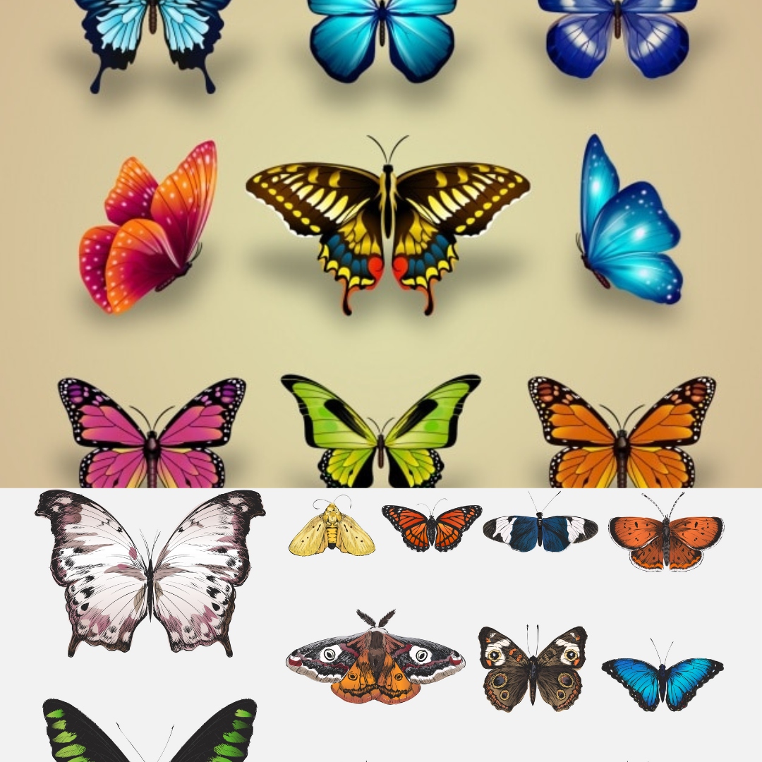 Illustration drawing style of butterfly collection svg - Inspire Uplift