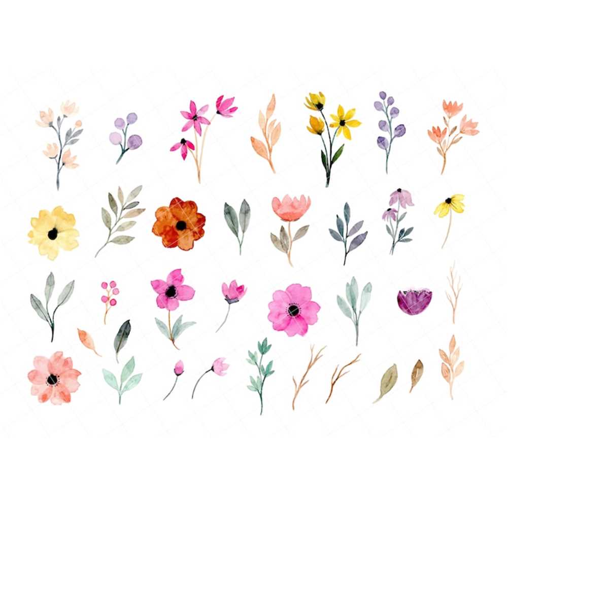 35 Watercolor floral elements collection bundle, watercolor | Inspire ...