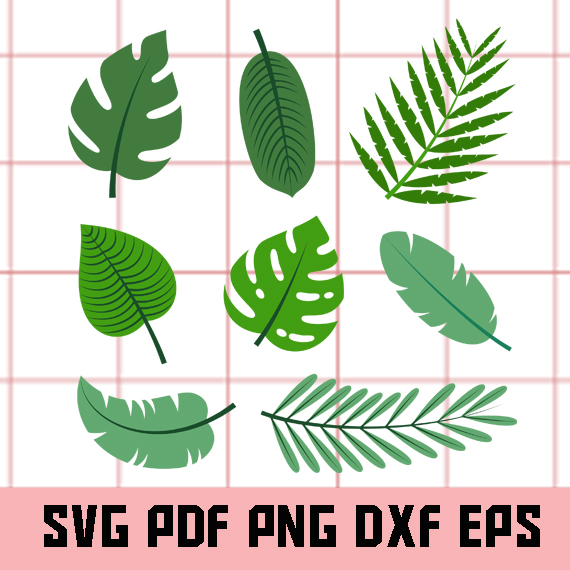 Tropical leaves svg, Tropical leaves Png, Tropical leaves ep - Inspire ...