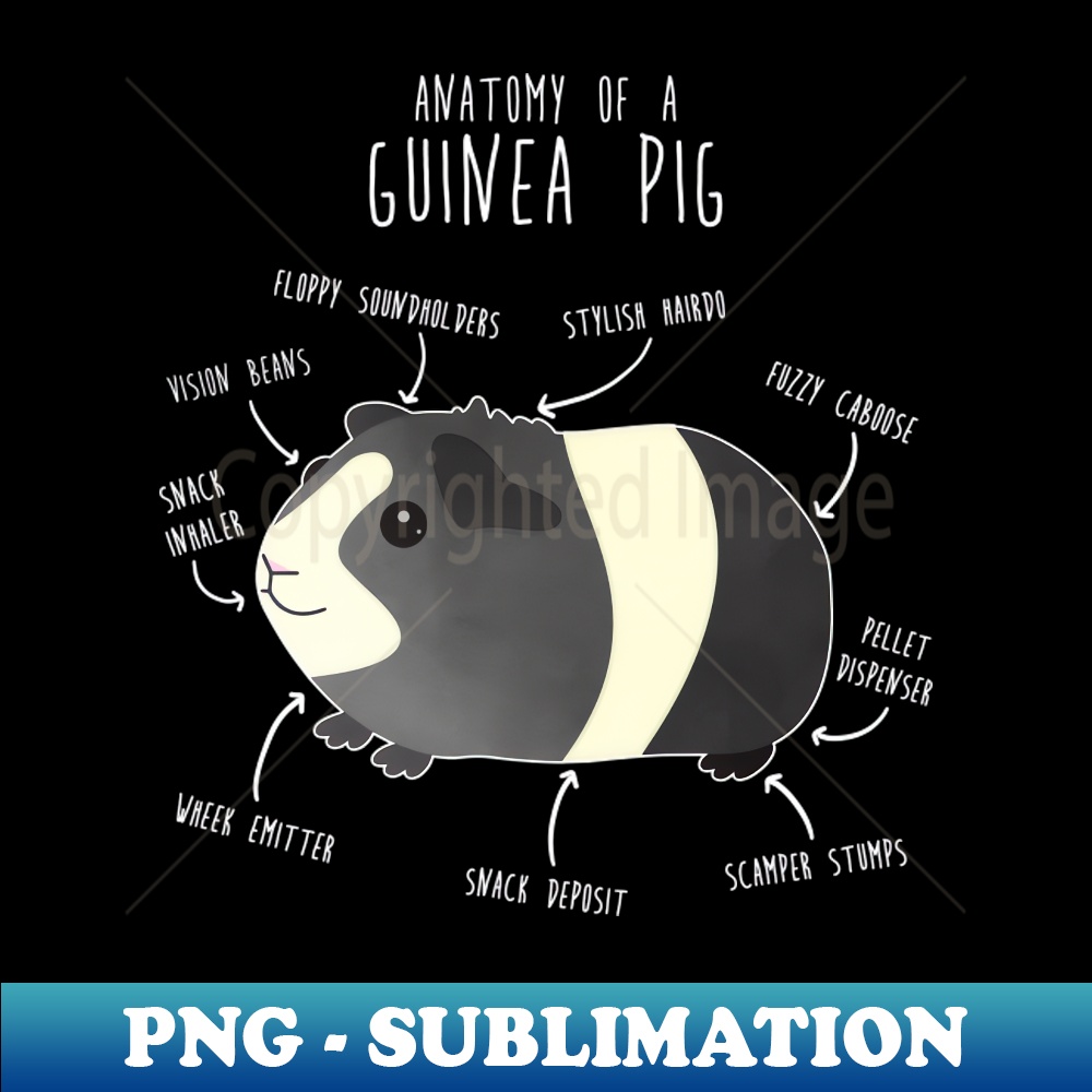 Guinea Pig Anatomy - Sublimation-Ready PNG File - Spice Up Y - Inspire ...