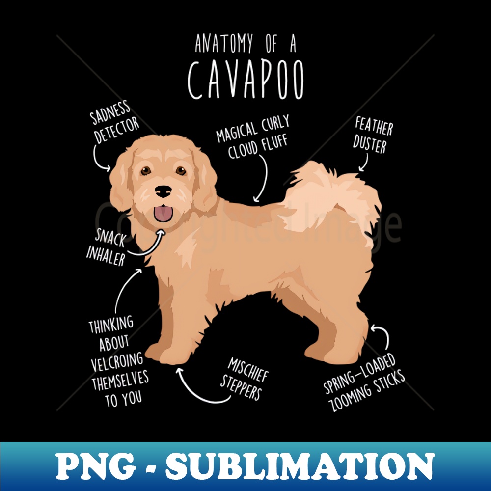 Cavapoo Dog Anatomy - Instant PNG Sublimation Download - Cre | Inspire ...