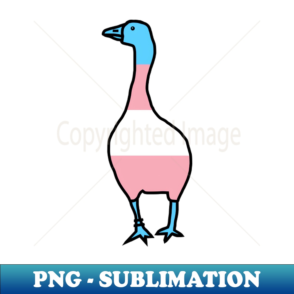 Small Transgender Pride Flag Goose - Modern Sublimation PNG | Inspire ...