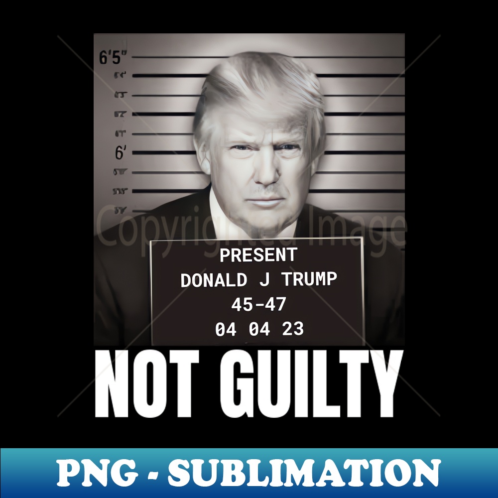 Donald Trump campaign mugshot Trump mugshot 2024 - Professio | Inspire ...