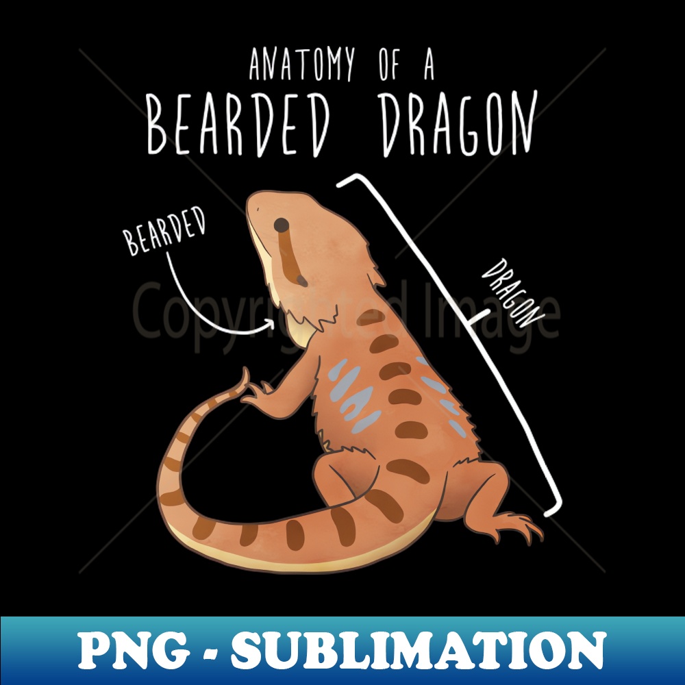 Bearded Dragon Lizard Reptile Anatomy - Exclusive PNG Sublim | Inspire ...