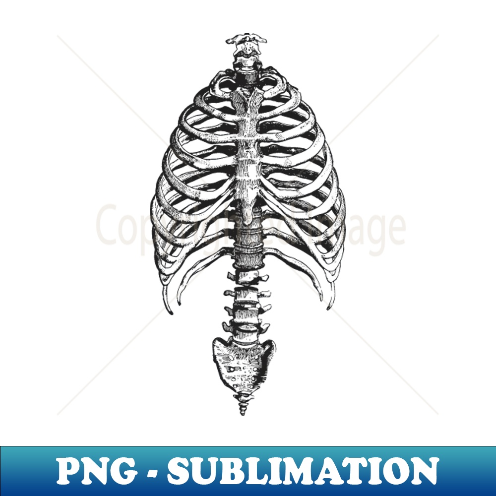 Chest Bone Corpse Torso Funny Skeleton - Digital Sublimation - Inspire ...