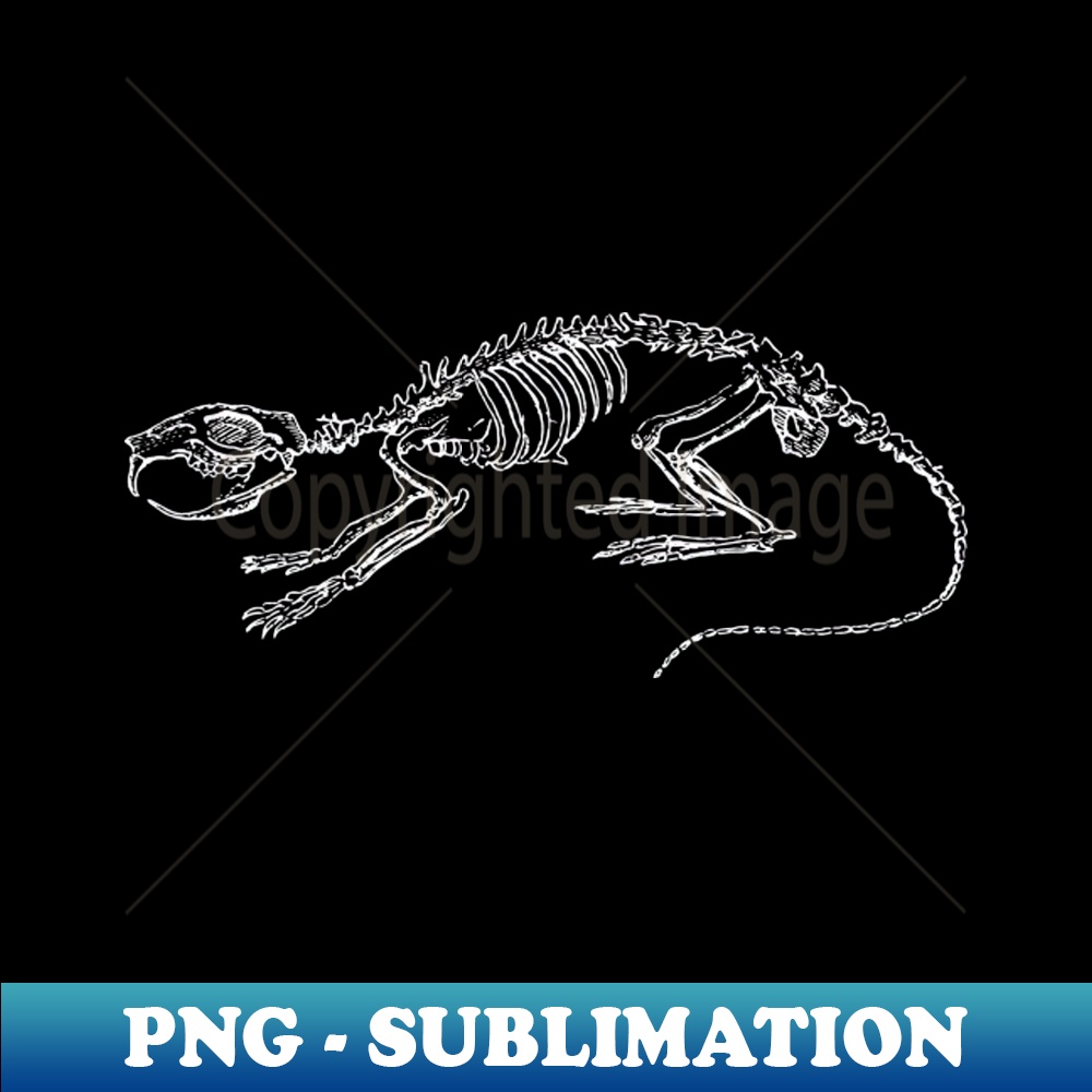 Rat Skeleton - PNG Transparent Digital Download File for Sub | Inspire ...