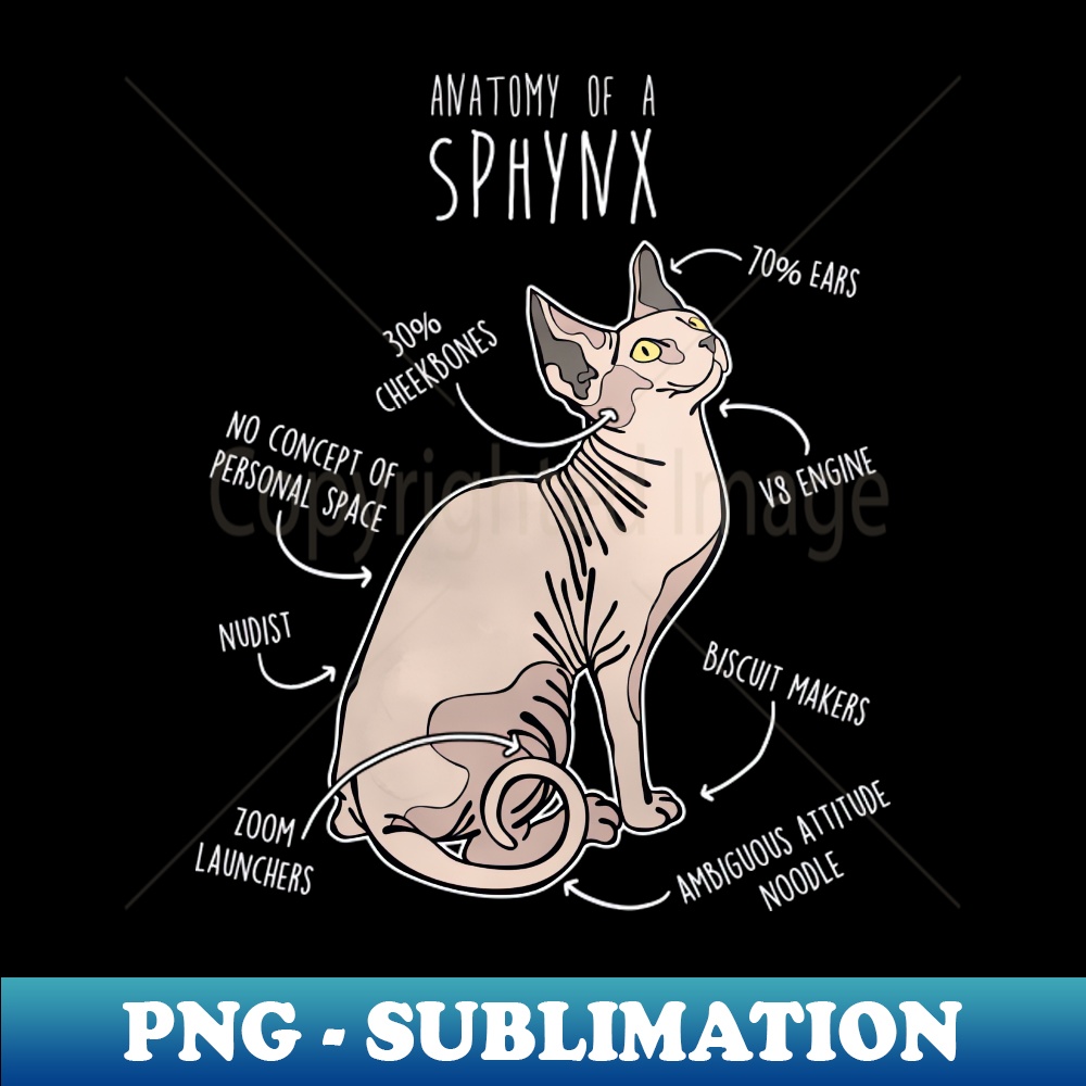 Sphynx Cat Anatomy - Modern Sublimation PNG File - Unleash Y | Inspire ...