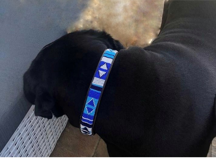 Beaded dog collars | Inspire Uplift