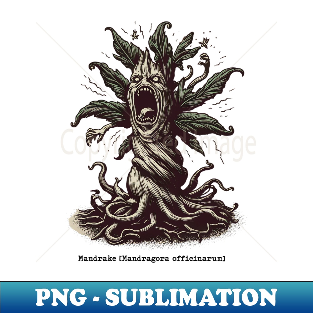 Enchanting Mandrake Root - Mythological Botanical Art - Tren | Inspire ...