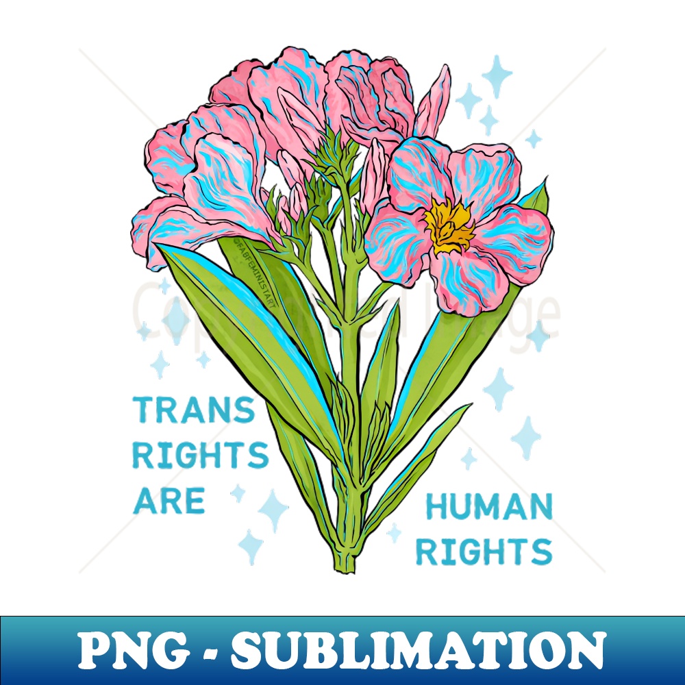 Trans Rights Are Human Rights - Modern Sublimation PNG File | Inspire ...