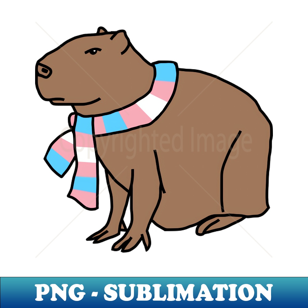 Capybara and Transgender Pride Flag Scarf - Modern Sublimati | Inspire ...