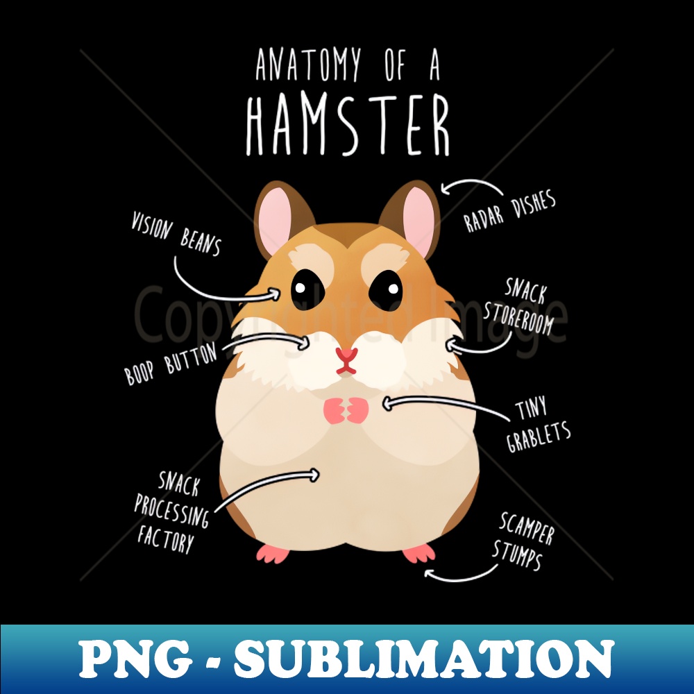 Roborovski Dwarf Hamster Anatomy - Special Edition Sublimati | Inspire ...