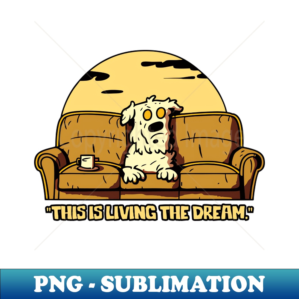 old dog on an old ratty sofa living the dream - Creative Sub | Inspire ...