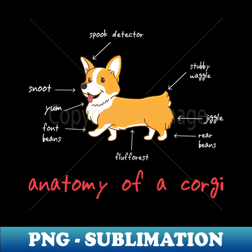 Anatomy of Corgi - High-Resolution PNG Sublimation File - Ad | Inspire ...