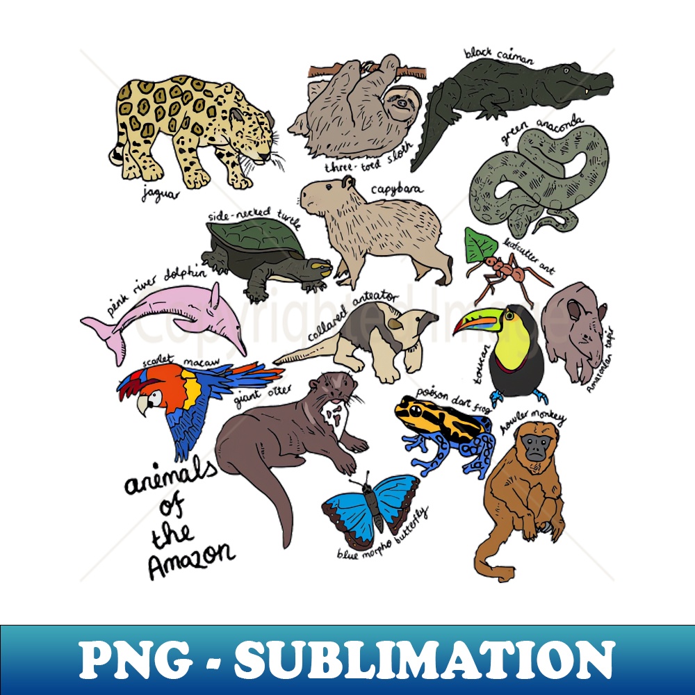 Animals of the Amazon - Elegant Sublimation PNG Download - S | Inspire ...
