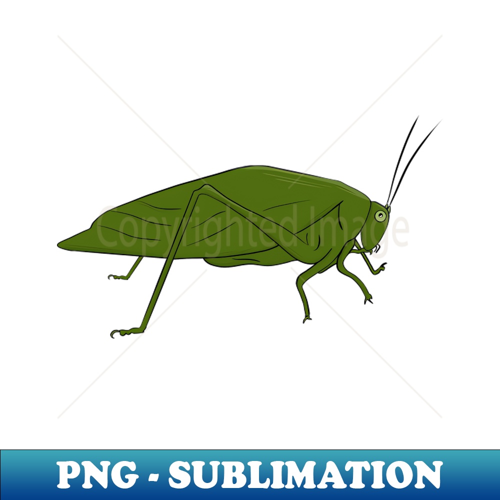 Locust Grasshopper Insect Etmonology - PNG Transparent Subli | Inspire ...