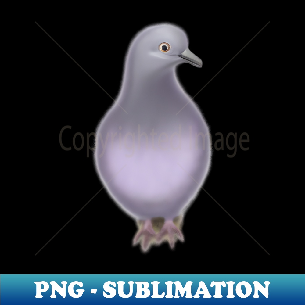 Cute Dove Drawing - PNG Sublimation Digital Download - Trans | Inspire ...