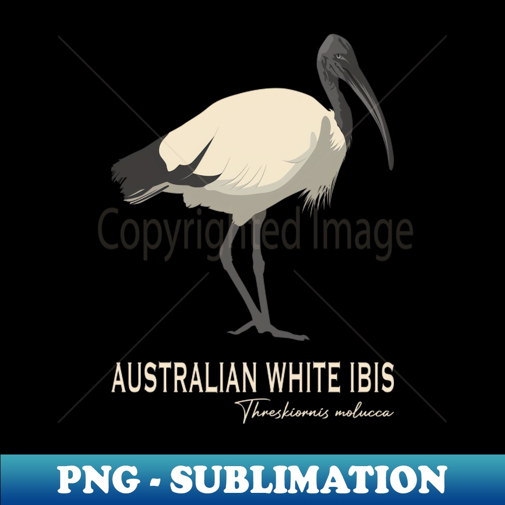 Australian white Ibis - Modern Sublimation PNG File - Instan | Inspire ...