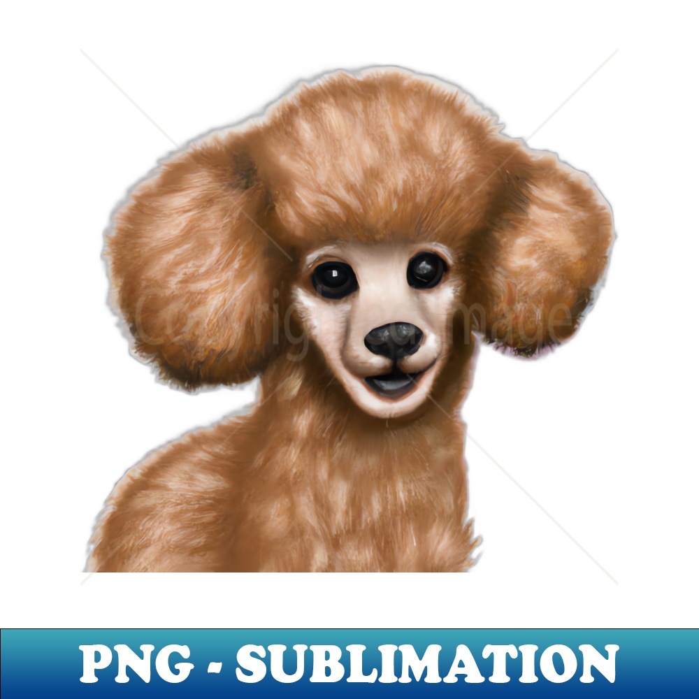 Cute Poodle Drawing - Exclusive Sublimation Digital File - U | Inspire ...