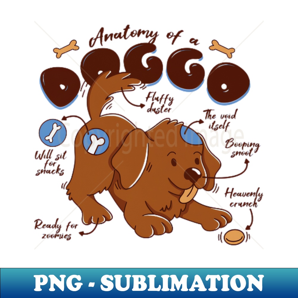 Anatomy of a Doggo - Modern Sublimation PNG File - Revolutio - Inspire ...