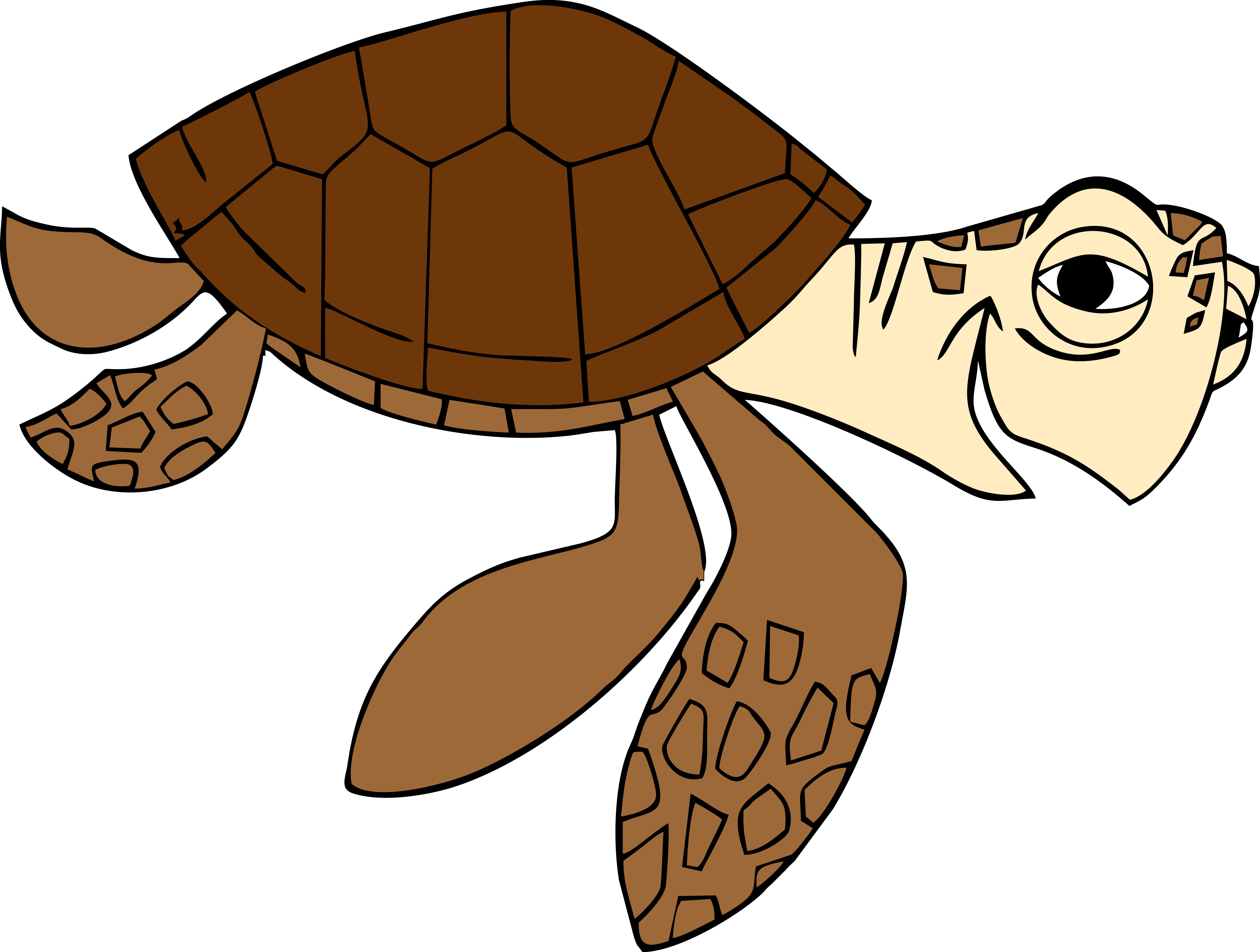 Turtle Finding Nemo Svg, Finding Dory Svg, Dory svg, Finding | Inspire ...