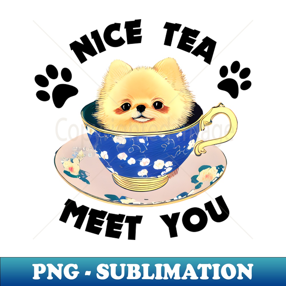 Cute Teacup Pomeranian Puppy Owner Nice To Meet You Funny Te | Inspire ...
