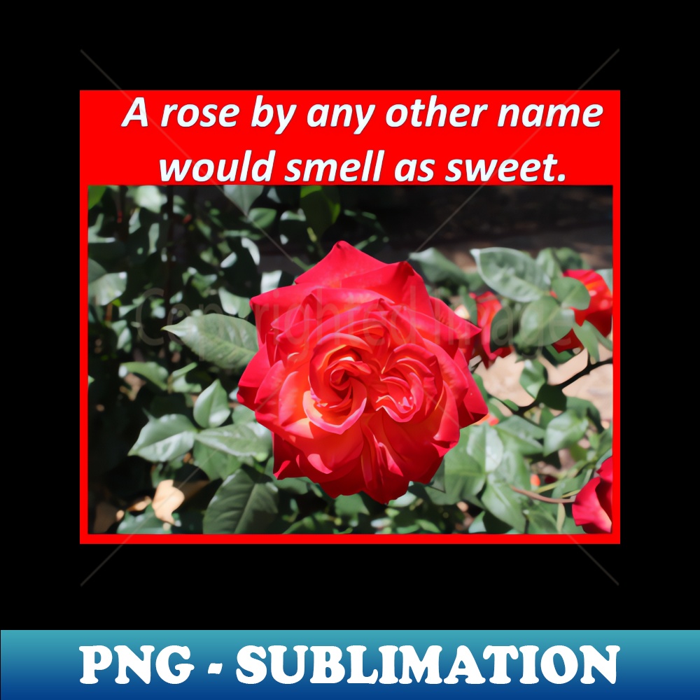 A ROSE by any other name - High-Resolution PNG Sublimation F | Inspire ...