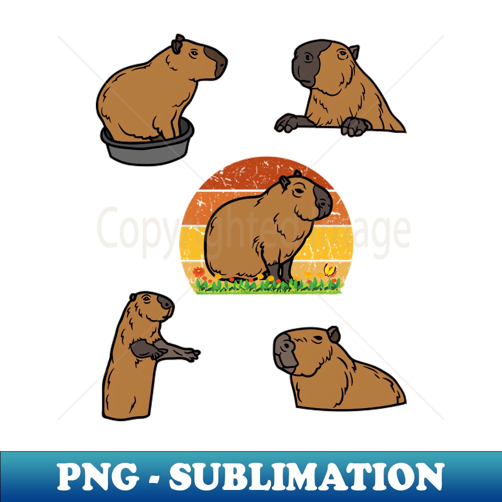Capybara - Instant PNG Sublimation Download - Spice Up Your | Inspire ...