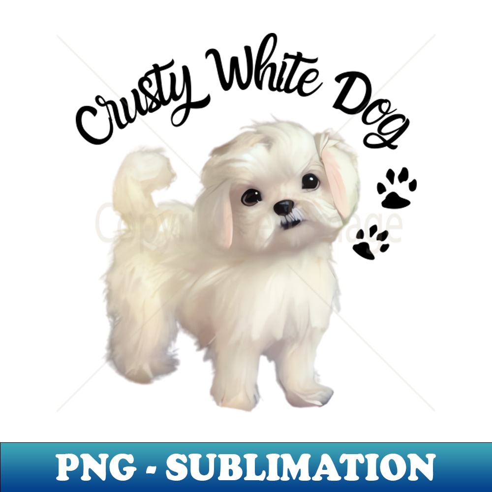 Cute Crusty White Dog Maltese Terrier Maltese Puppies Shih T | Inspire ...