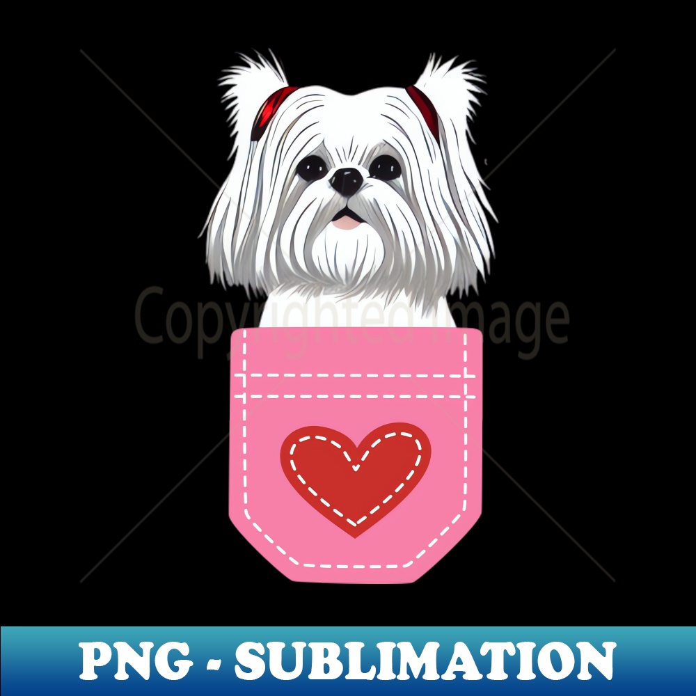 Fluffy Cute Crusty White Dog of Maltese Shih Tzu - Instant P | Inspire ...