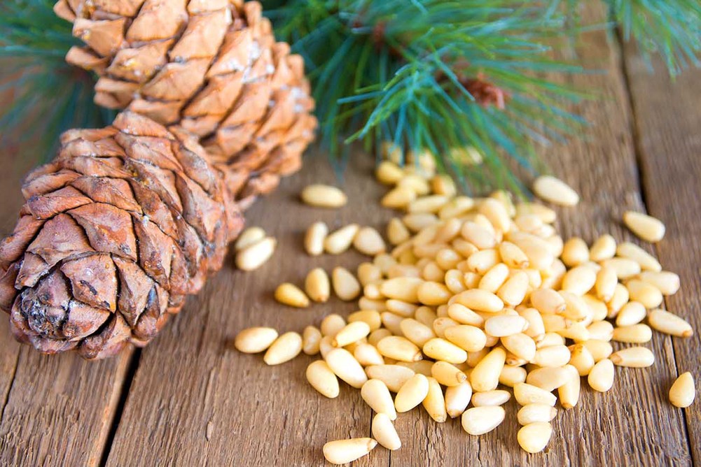 Siberian pine seeds. Peeled pine cedar nuts 200g 7oz | Inspire Uplift