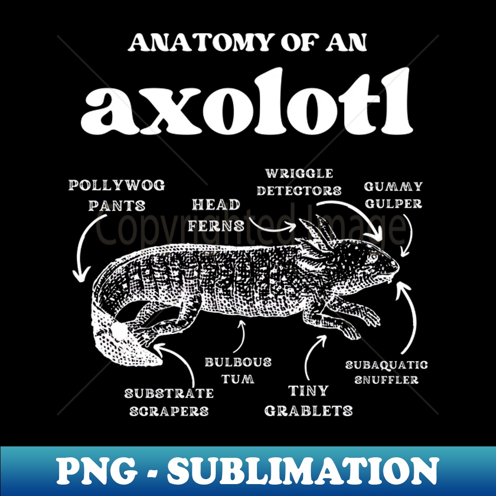 Anatomy of an axolotl axolotls lover - PNG Transparent Subli - Inspire ...