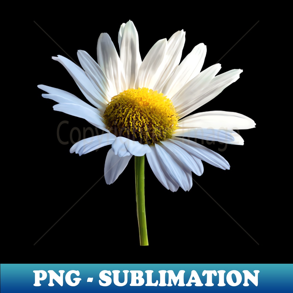Daisy Shadow and Light - High-Resolution PNG Sublimation Fil | Inspire ...