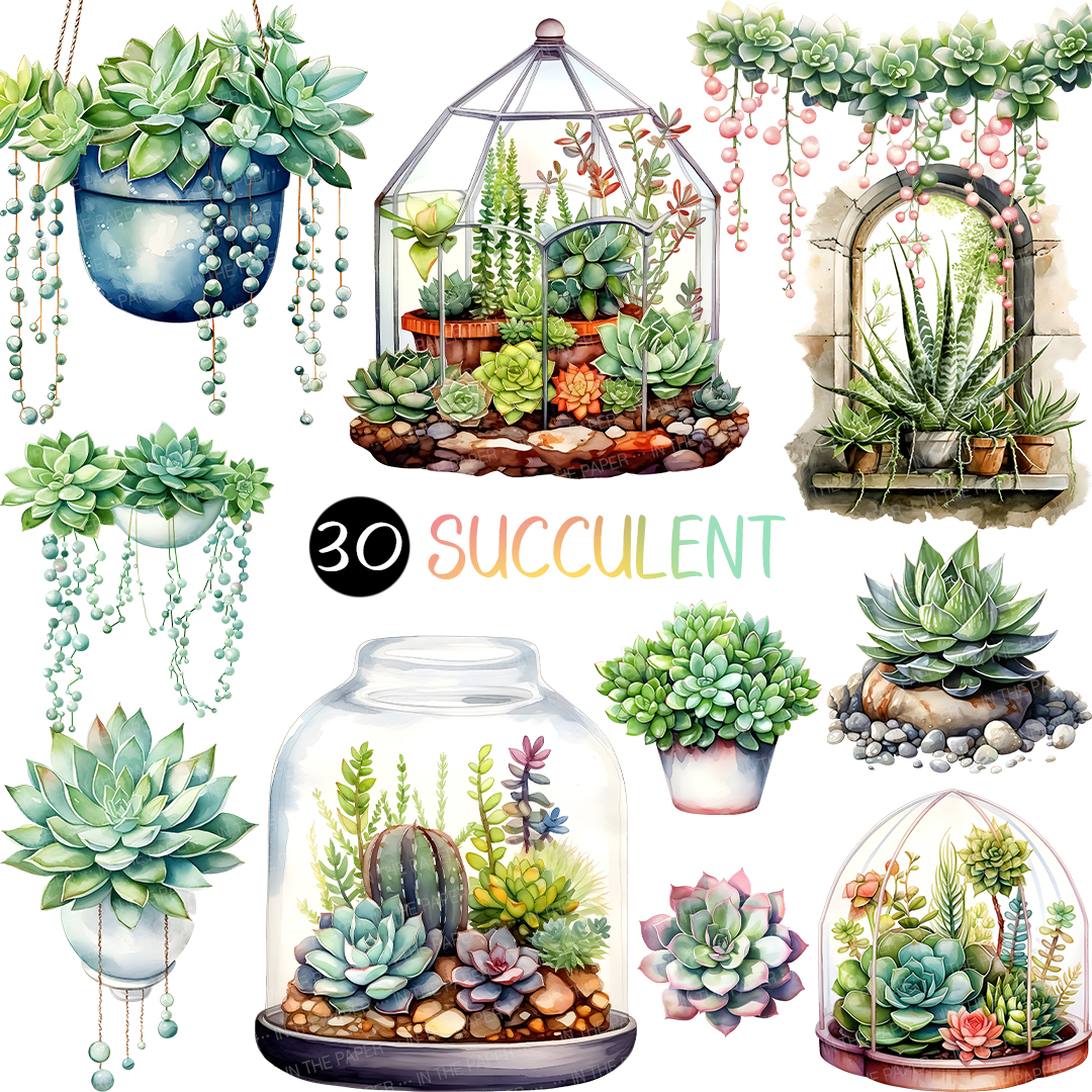 Vibrant Watercolor Cacti and Succulents | PNG Botanical Clip - Inspire ...