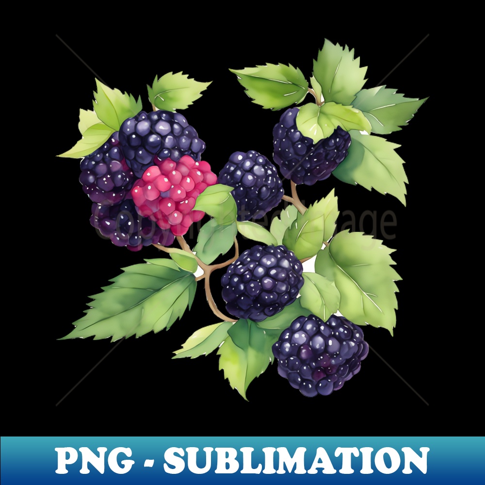 wildberry design - Elegant Sublimation PNG Download - Fashio | Inspire ...