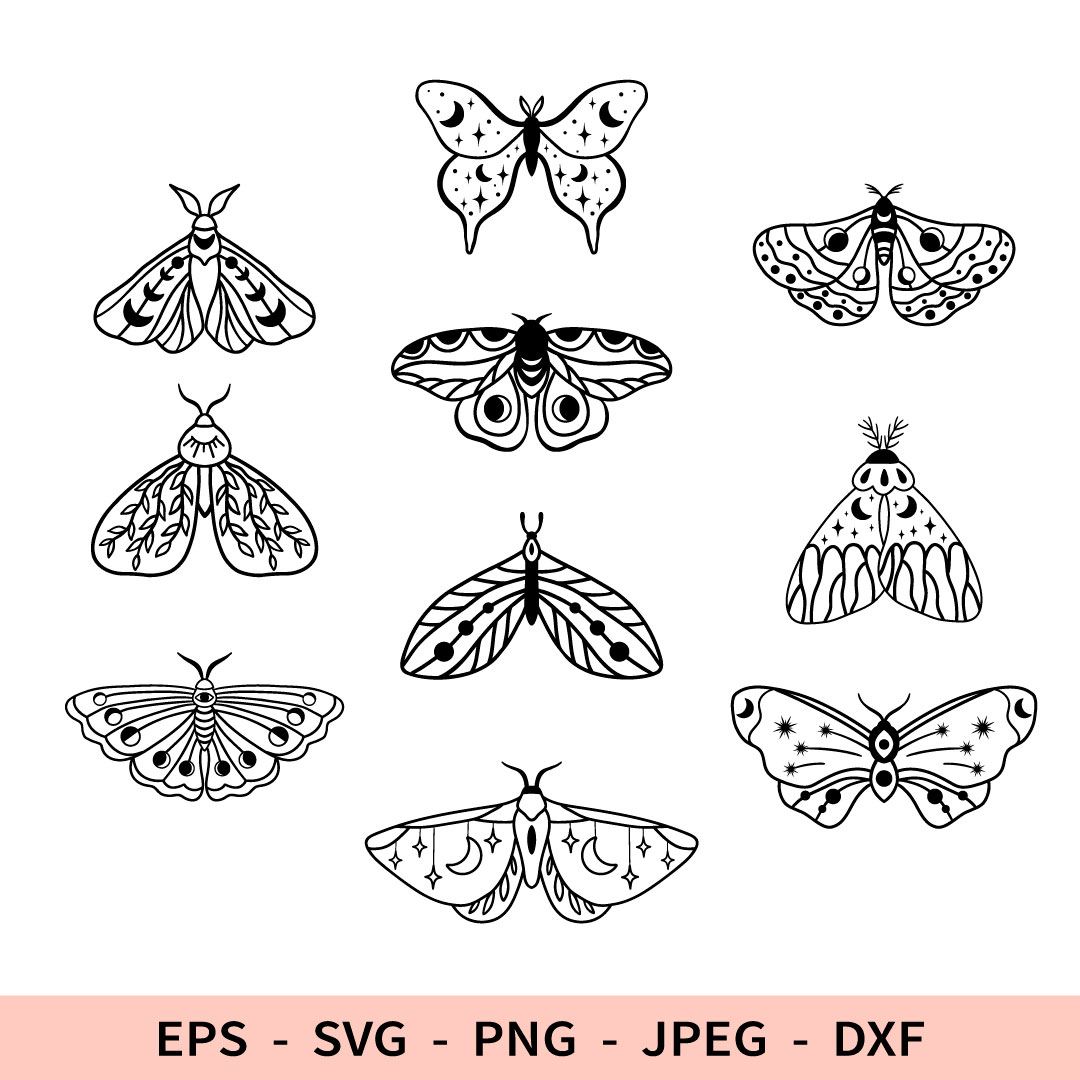 Moth Svg Butterfly Svg Outline Moth File for Cricut Selectia | Inspire ...
