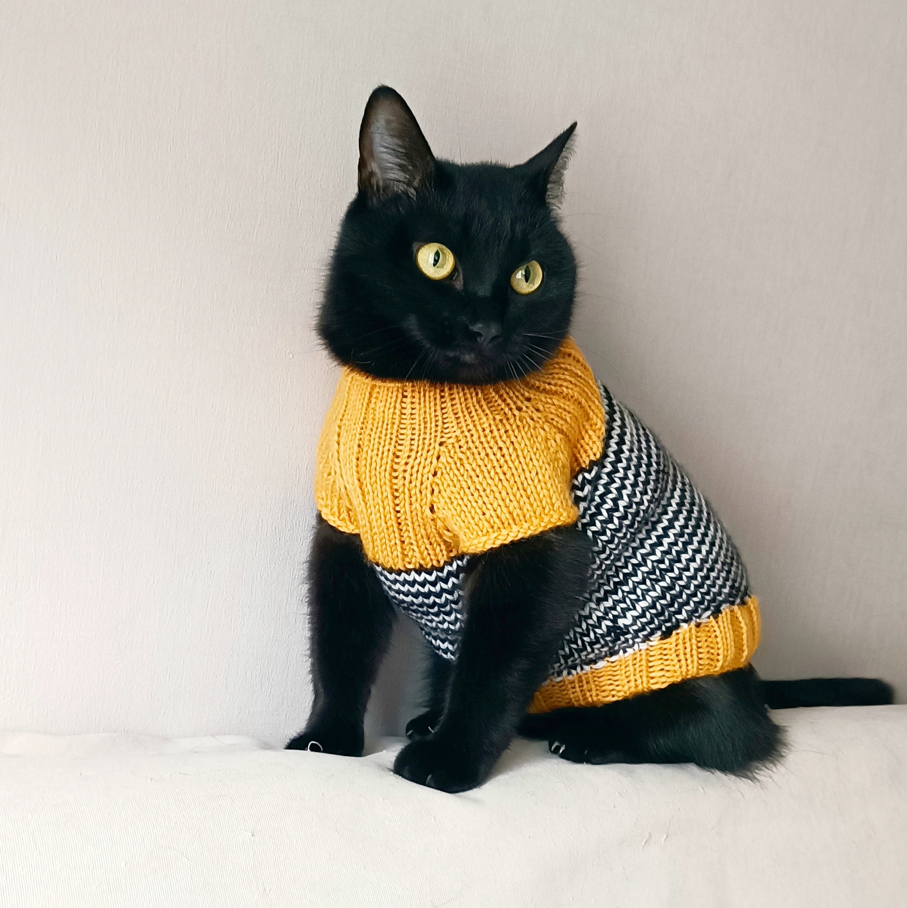 Cat sweater Jumper for cat Pet clothing Sweaters for dogs st - Inspire ...