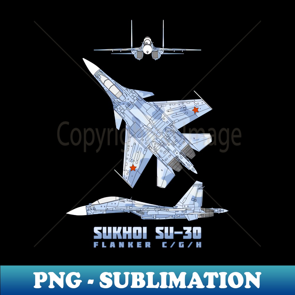 Sukhoi Su-30 Russian Super Maneuverable Fighter Plane Diagra - Inspire ...