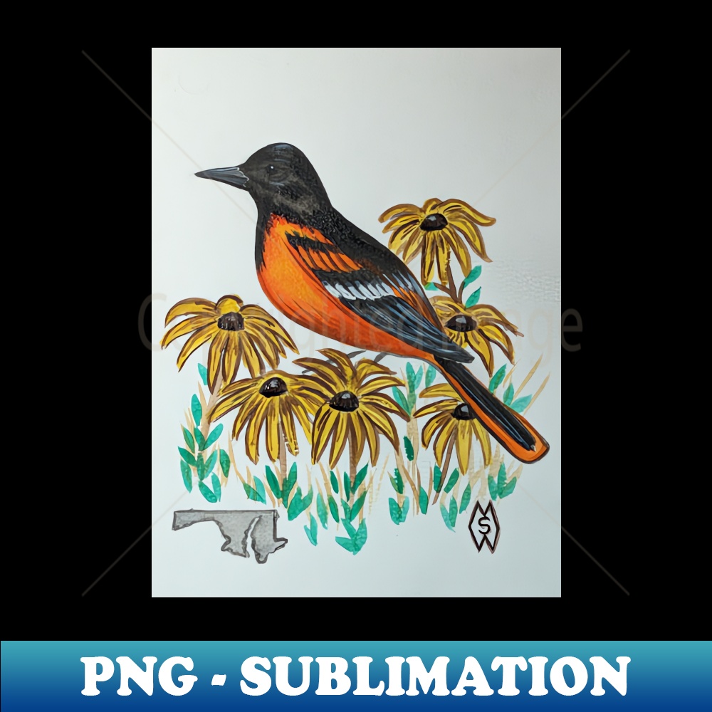 Maryland state bird flower the Baltimore oriole and black-e | Inspire ...