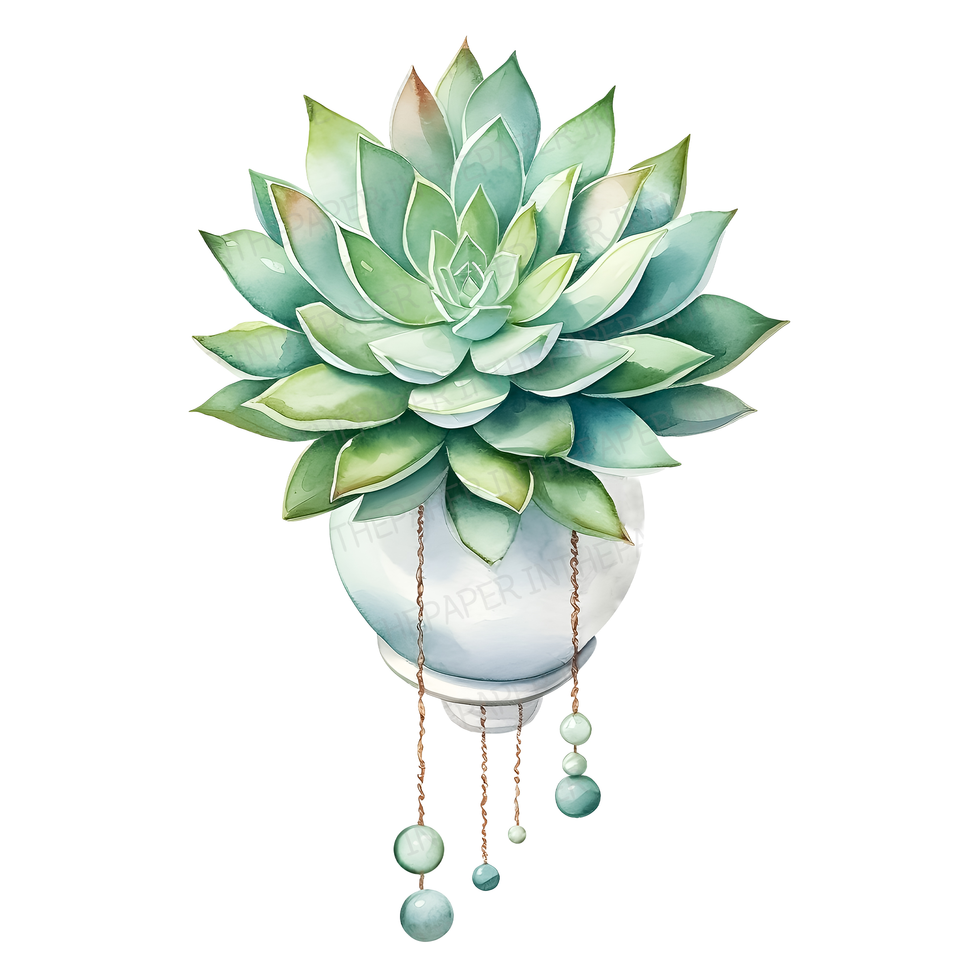 Elegant Succulent and White Pots PNG | Watercolor Painting G | Inspire ...